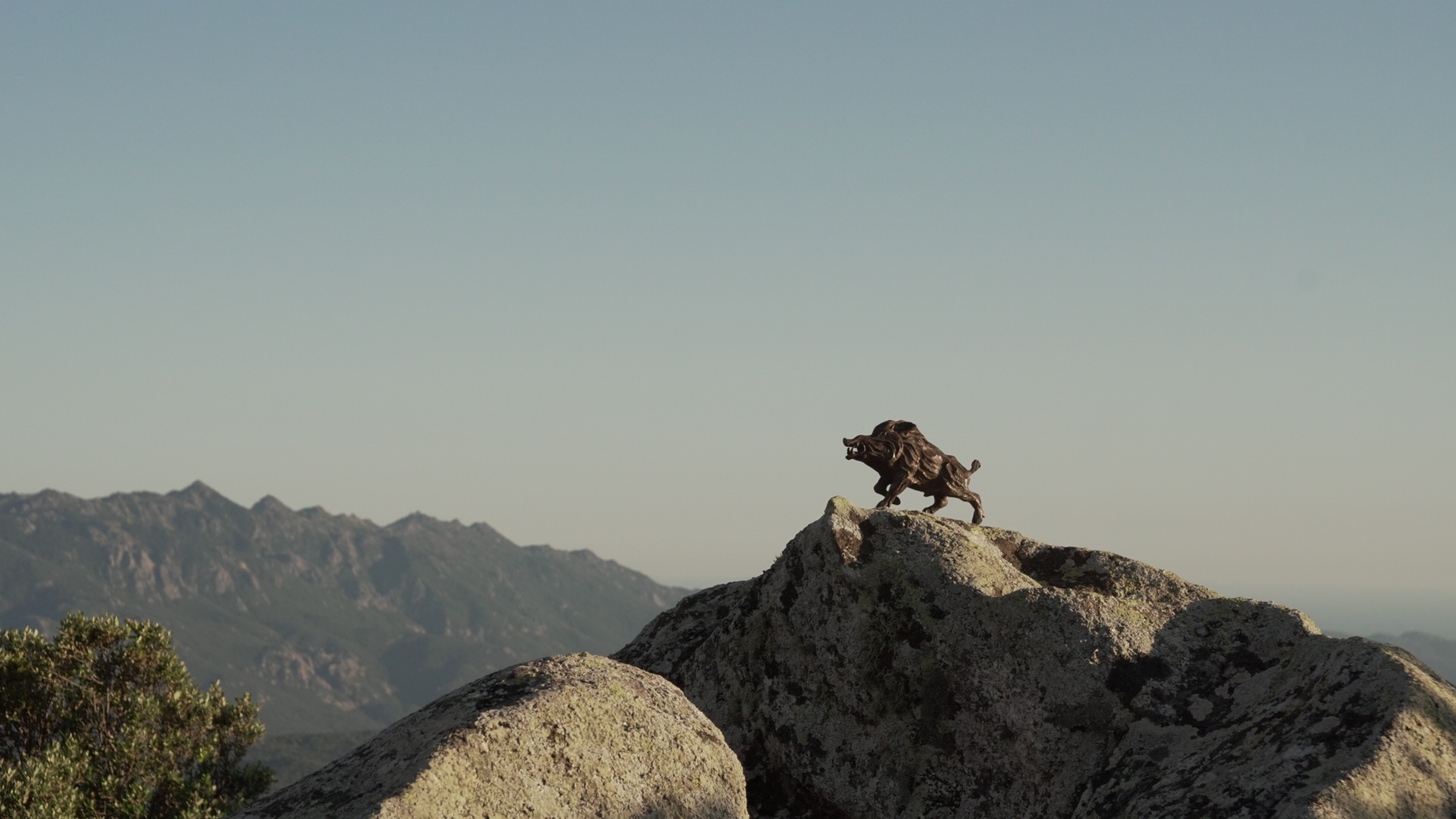 Corsican Wildboar Del Chiaro Bronze Art from Tuscany – Stephane ...